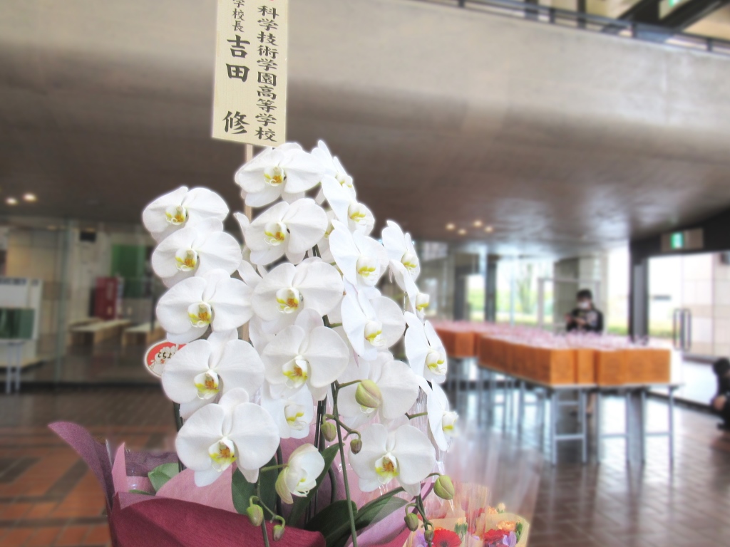 R6.03 卒業証書授与式 – 最新情報・ブログ | 国際TBC高等専修学校